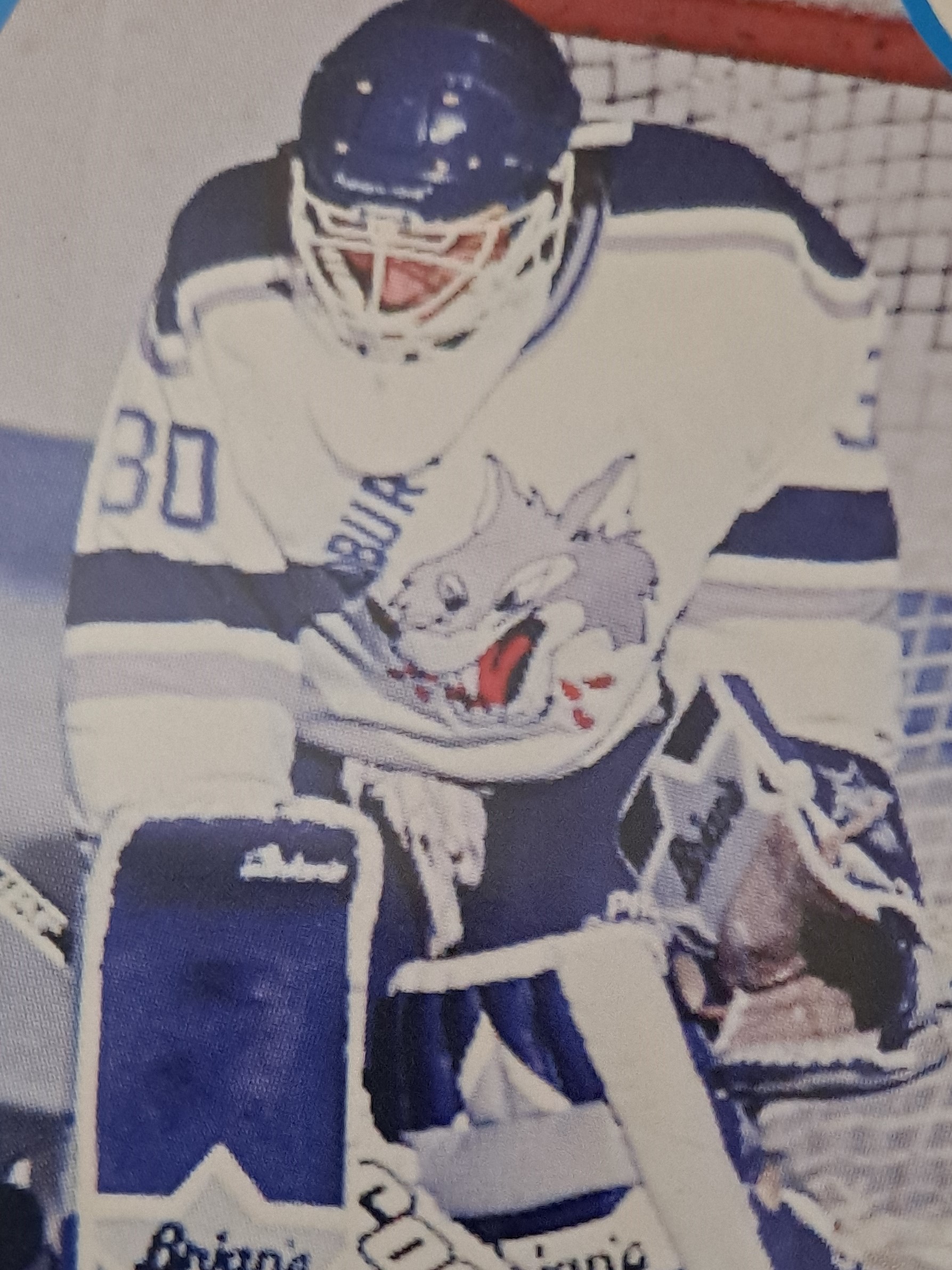 #1, 35 Dan Ryder | Kansas City Blades Tribute Site